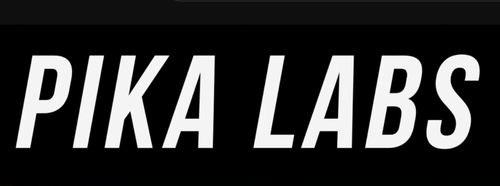 Pika Labs Review